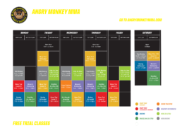 Schedule - Angry Monkey MMA Gym