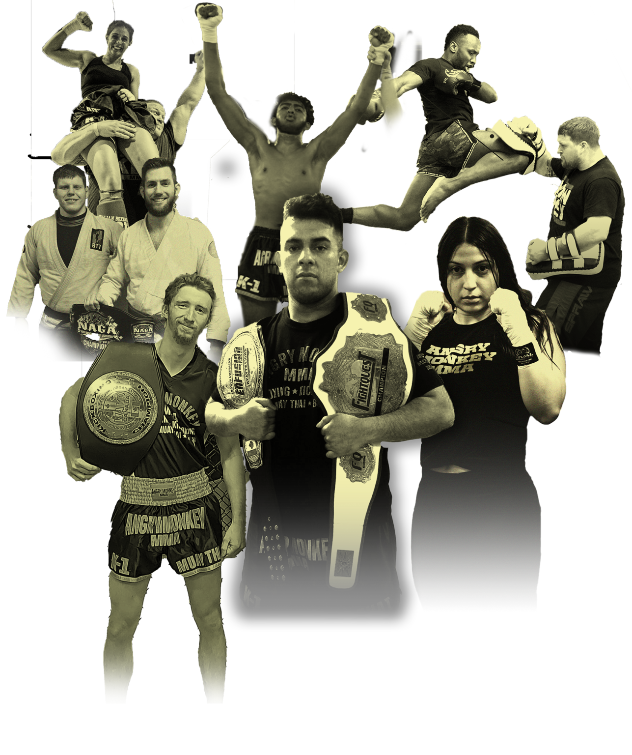 Angry Monkey MMA Gym